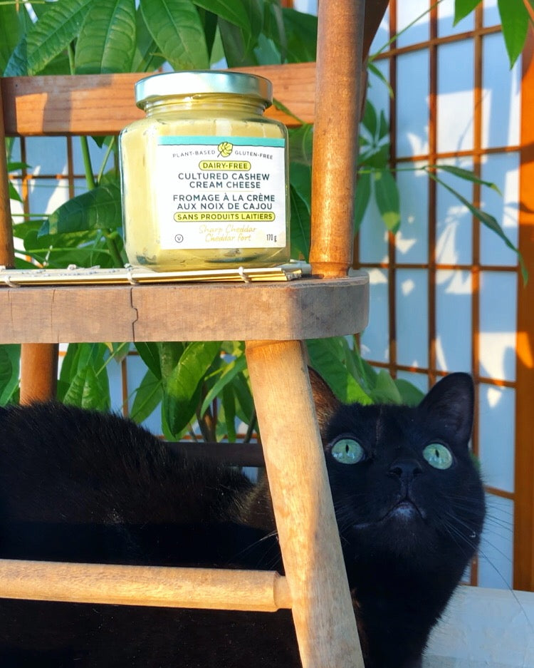 Dairy-Free Cream Cheese – Living Tree Foods